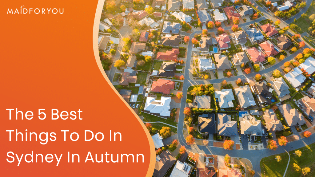 The 5 Best Things To Do In Sydney in Autumn | MaidForYou
