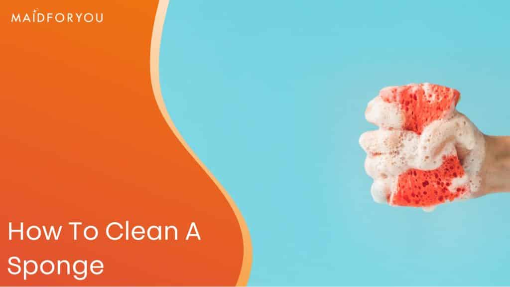 How to Clean a Sponge | Don't Throw it Away | MaidForYou