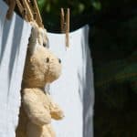 Step-by-Step Guide: How to Surface Clean Stuffed Animals | MaidForYou